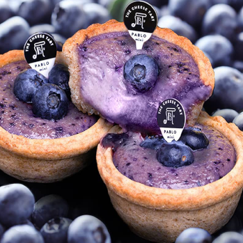 Mini Blueberry – Pablo Edmonton